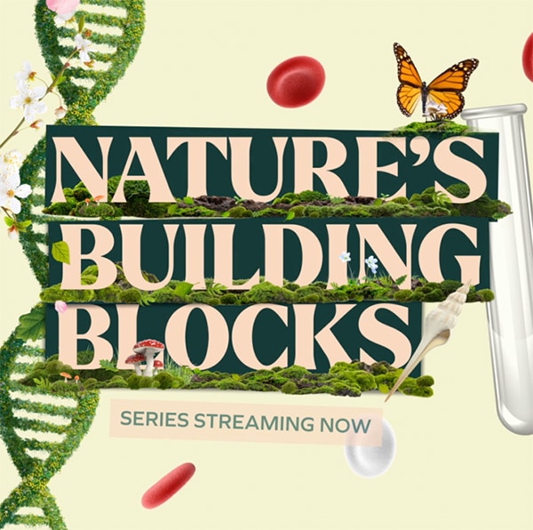 Global Premier, Nature's Building Blocks - Vestaron : Harnessing The ...