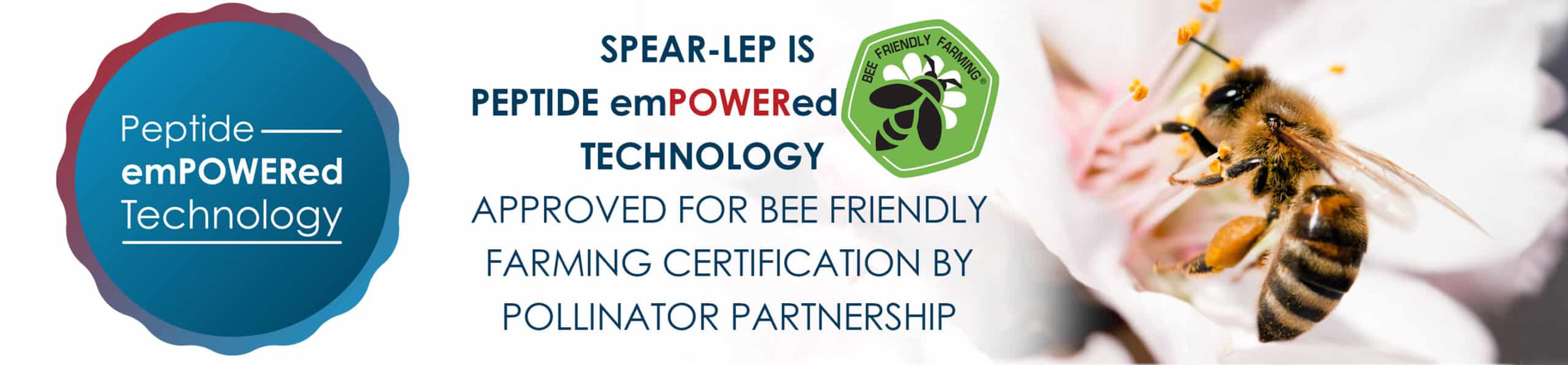 POME – Vestaron : Harnessing The Power of Peptides